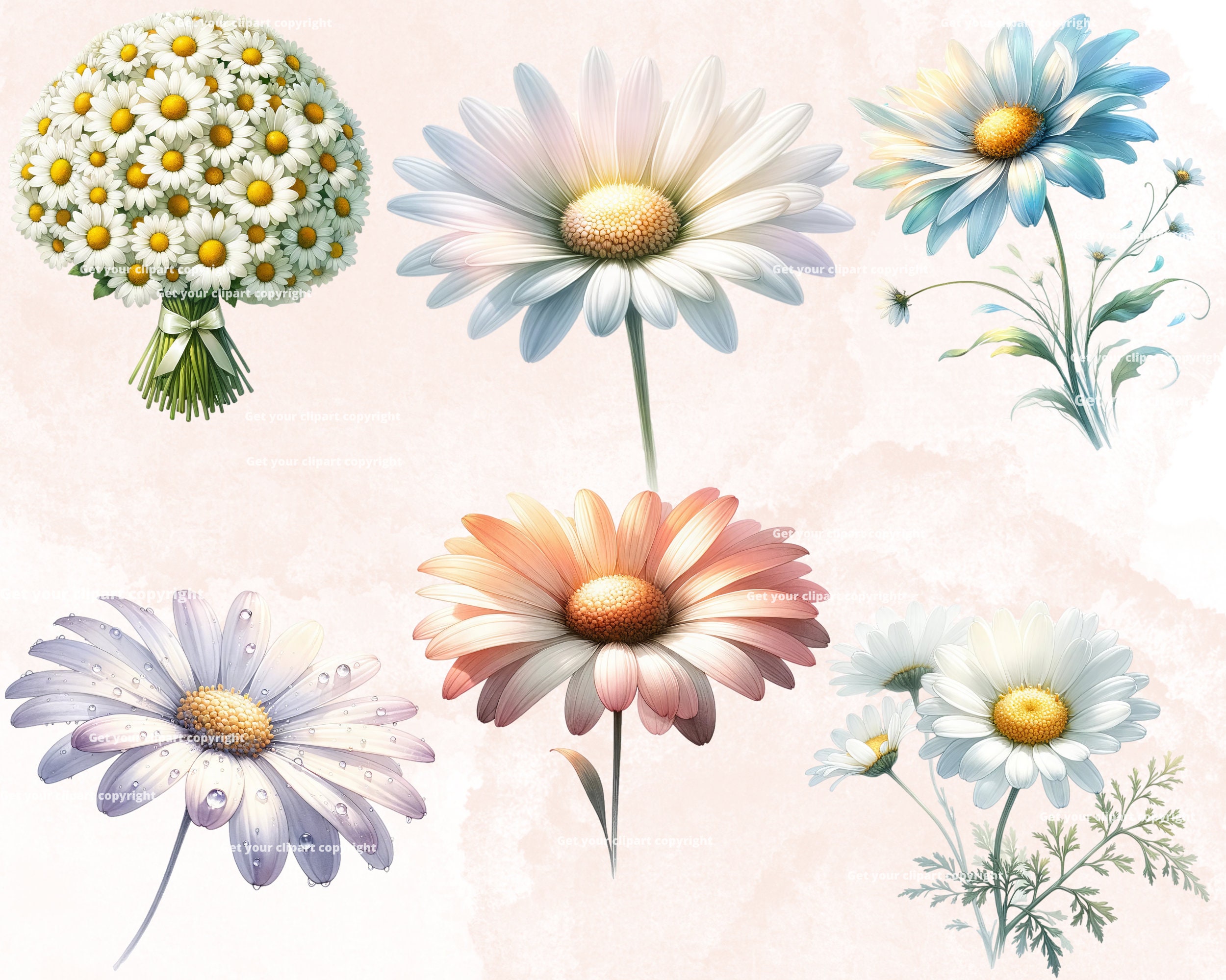 Daisy Flower Clipart Bundle, Watercolor Flowers Clipart, Spring Png ...