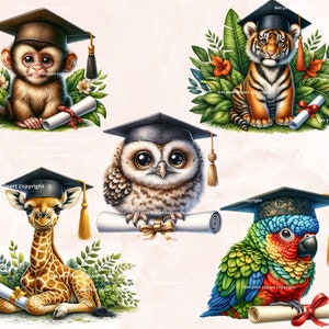 Graduate Baby Animals Clipart Bundle, Preschool Graduation, Graduation ...