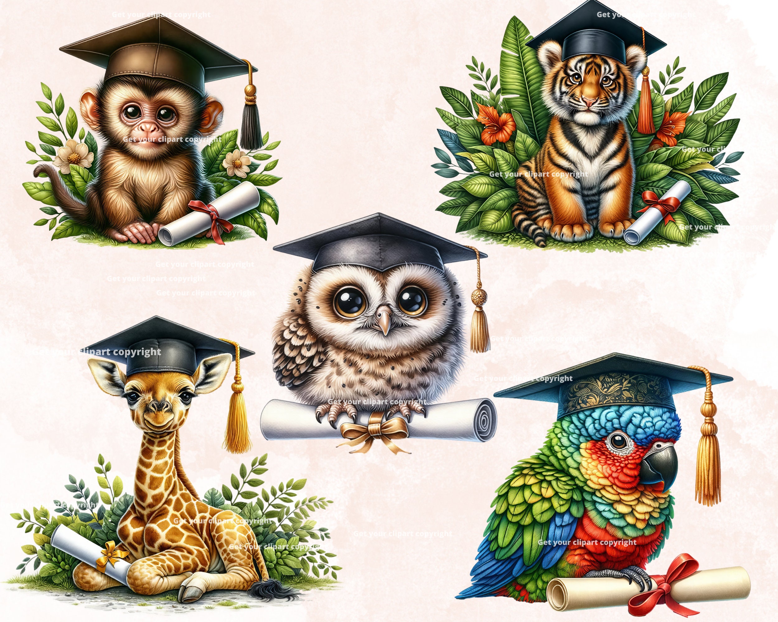 Graduate Baby Animals Clipart Bundle, Preschool Graduation, Graduation ...