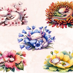 Axolotl and Flower Clipart Bundle, Axolotl Png Graphics, Axolotl ...