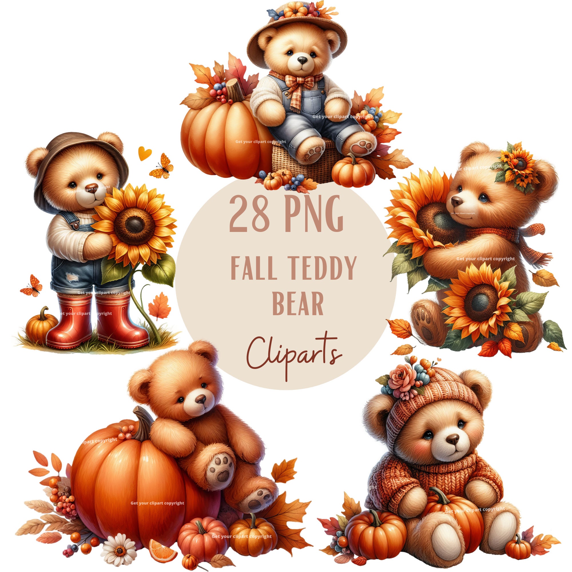 Fall Teddy Bear Clipart Bundle, Teddy Bear Clipart, Teddy Bear Png ...