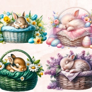 Easter Bunny in a Basket Clipart Bundle, Easter Clipart, Easter ...