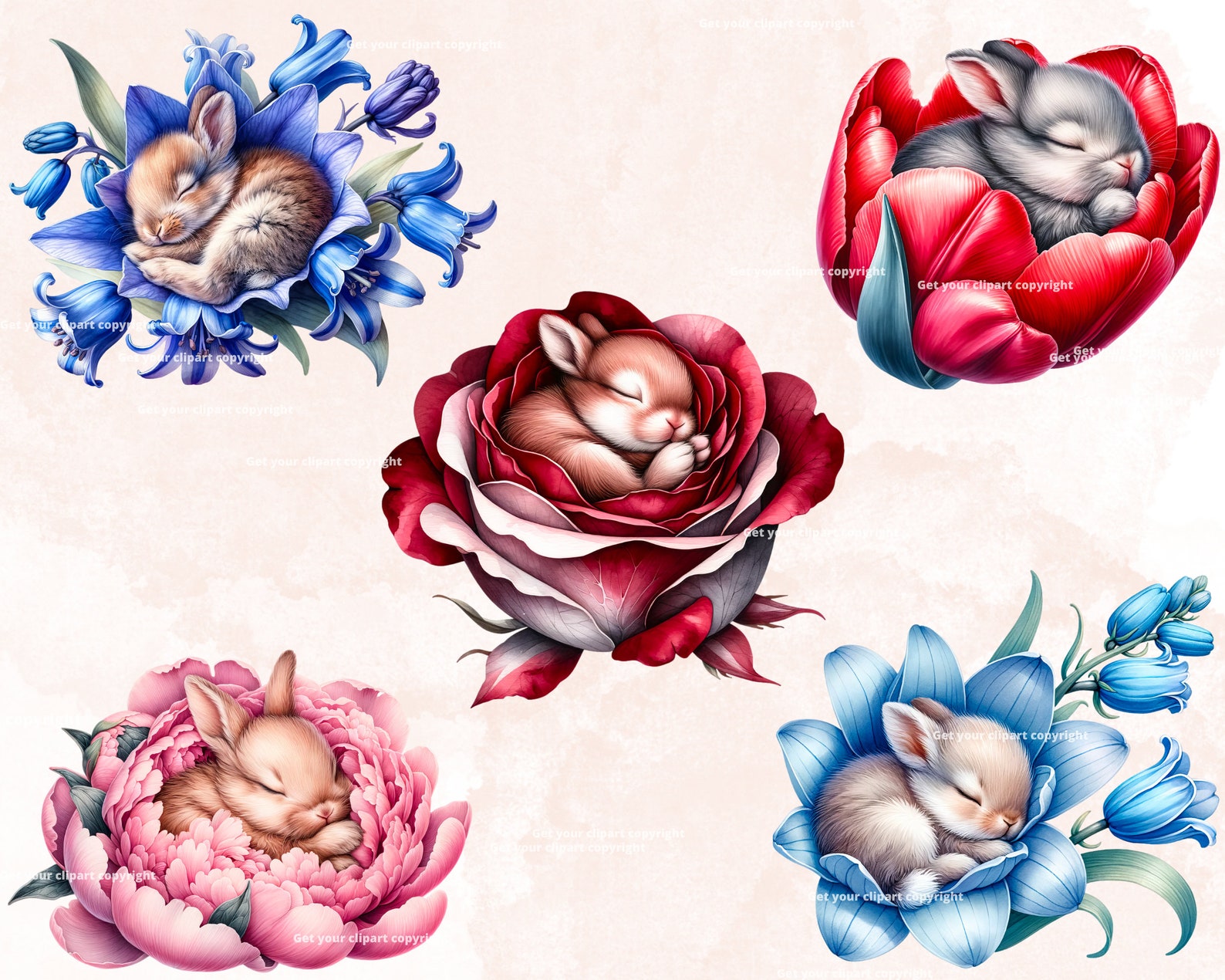 Bunny and Flowers Clipart Bundle, Bunny Nursery Print, Watercolor Bunny ...