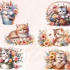 Baby Cat and Flowers Clipart Bundle, Kitten Clipart, Cute Cat Graphics ...