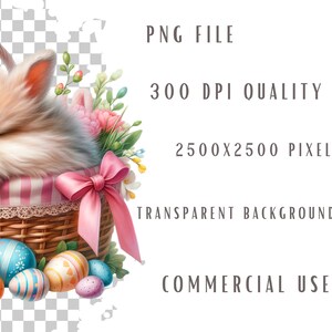 Easter Bunny in a Basket Clipart Bundle, Easter Clipart, Easter ...