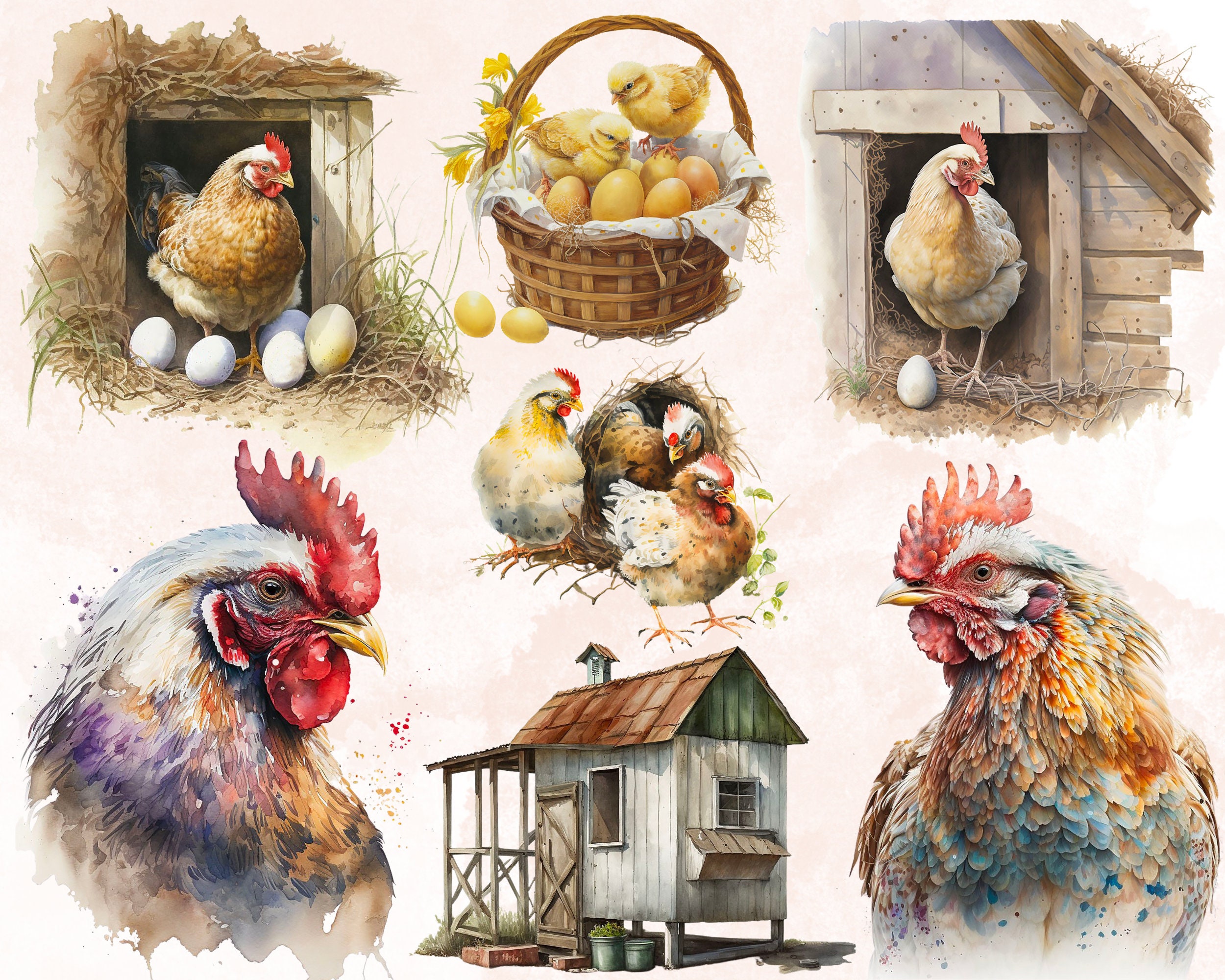 Chicken Png Files Watercolor Chicken Clipart Watercolor - Etsy