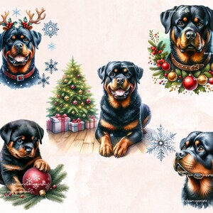 Christmas Rottweiler Png Graphics, Watercolor Dog Clipart, Set of 10 ...