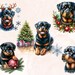 Christmas Rottweiler Png Graphics, Watercolor Dog Clipart, Set of 10 ...