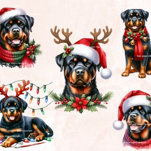 Christmas Rottweiler Png Graphics, Watercolor Dog Clipart, Set of 10 ...