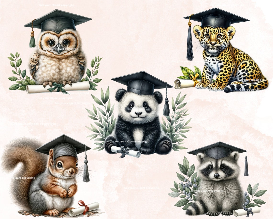 Graduate Baby Animals Clipart Bundle, Preschool Graduation, Graduation ...