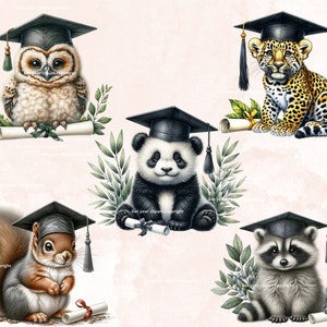 Graduate Baby Animals Clipart Bundle, Preschool Graduation, Graduation ...