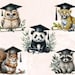 Graduate Baby Animals Clipart Bundle, Preschool Graduation, Graduation ...