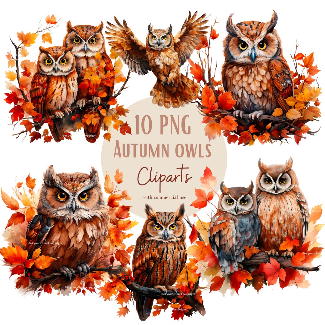 Owl Png Clipart Bundle, Woodland Animal Graphics, Fall Vibes Png ...