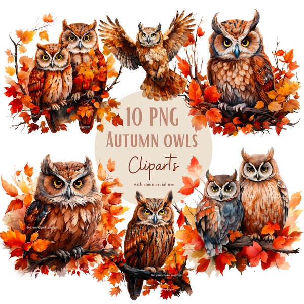 Fall Owl Clipart - Etsy