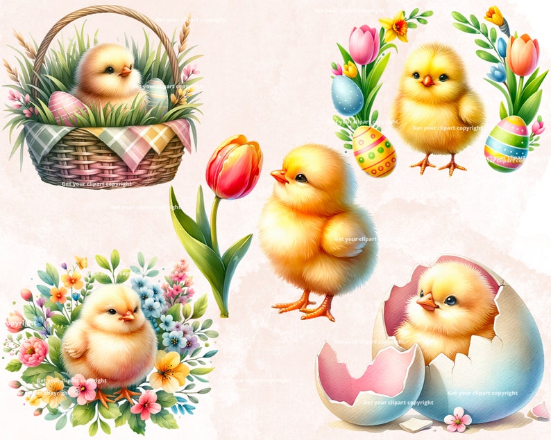 Easter Chick Clipart Bundle, Easter Clipart, Easter Graphics, Easter ...
