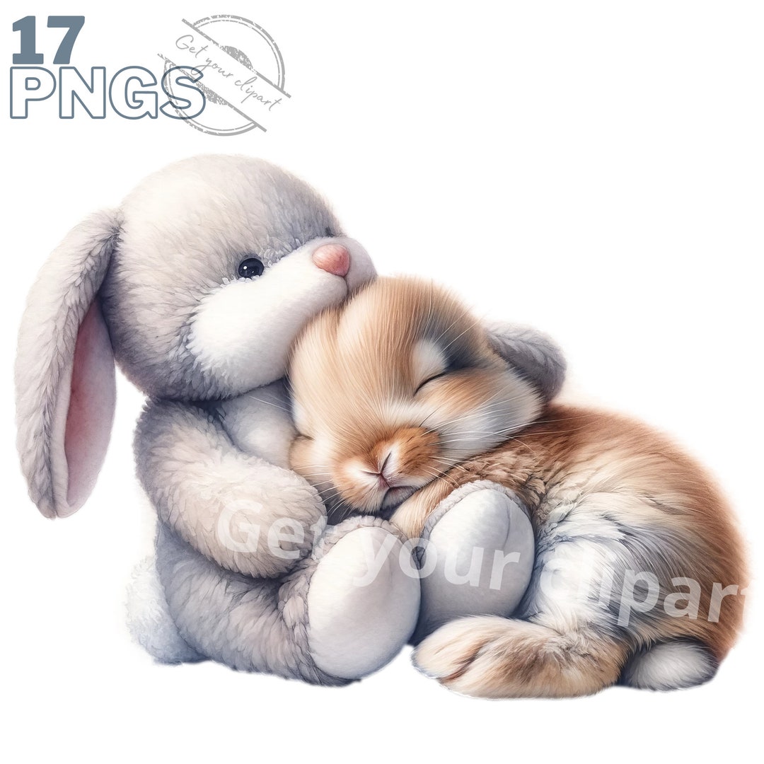 Cuddly Bunny Clipart Bundle, Cute Bunny Pngs, Spring Designs ...