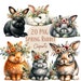 Spring Rabbit Clipart Bundle, Spring Bunny, Watercolor Bunny Graphics ...