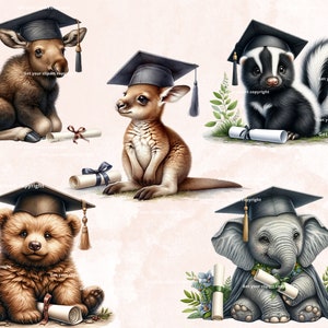 Graduate Baby Animals Clipart Bundle, Preschool Graduation, Graduation ...