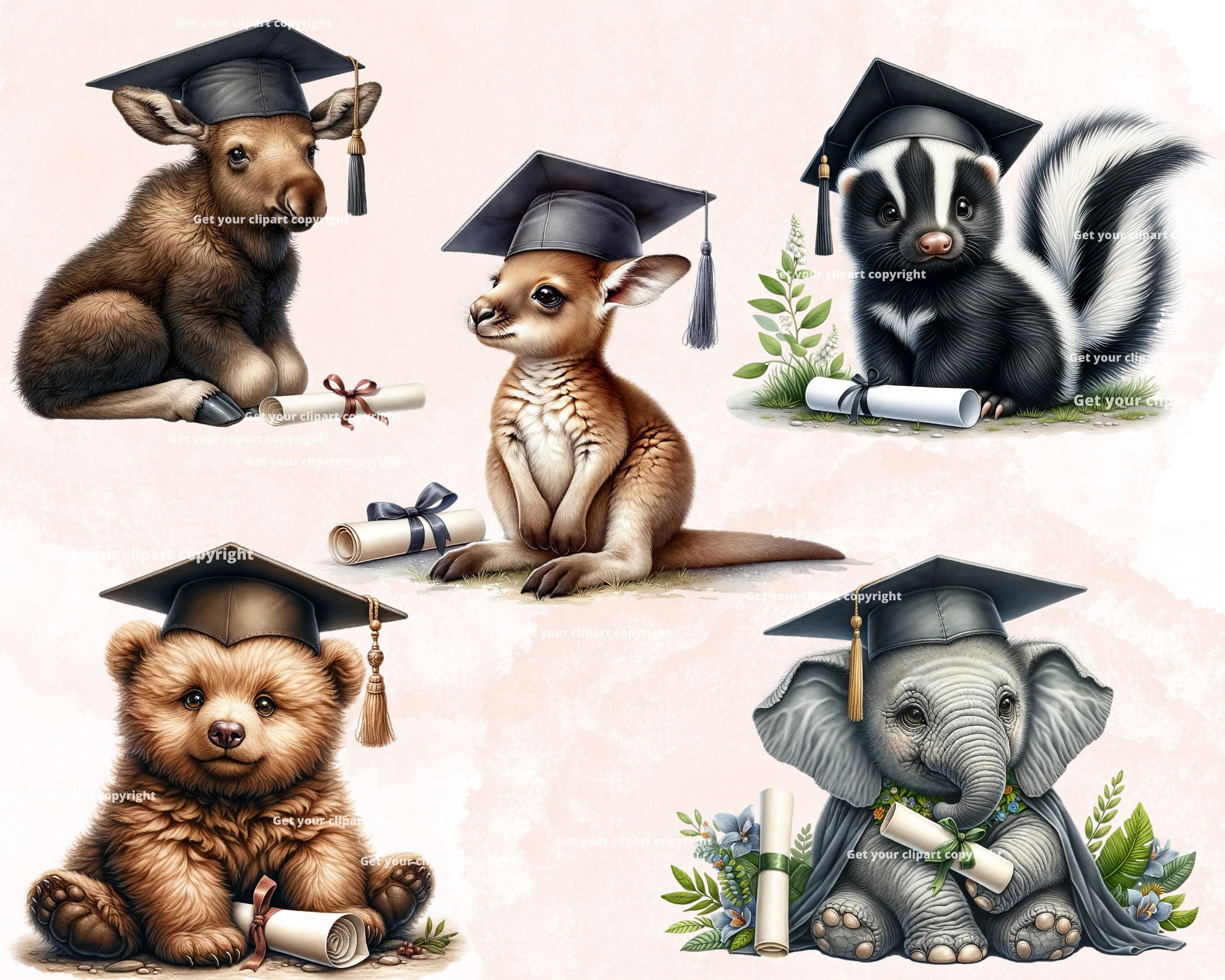 Graduate Baby Animals Clipart Bundle, Preschool Graduation, Graduation ...