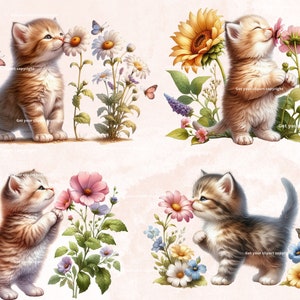 Baby Cat and Flowers Clipart Bundle, Kitten Clipart, Cute Cat Graphics ...