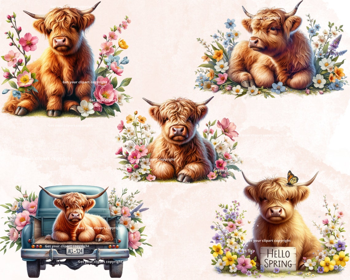 Spring Highland Cow Clipart Bundle, Printable Spring Graphics, Highland ...