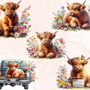 Spring Highland Cow Clipart Bundle, Printable Spring Graphics, Highland ...
