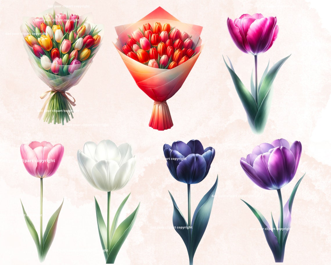 Spring Tulips Clipart Bundle, Watercolor Flowers Clipart, Spring Png ...