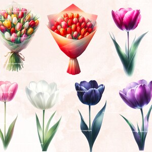 Spring Tulips Clipart Bundle, Watercolor Flowers Clipart, Spring Png ...
