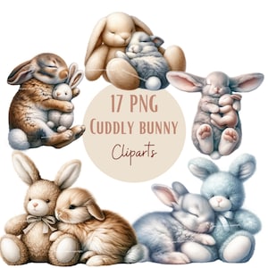 Cuddly Bunny Clipart Bundle, Cute Bunny Pngs, Spring Designs ...