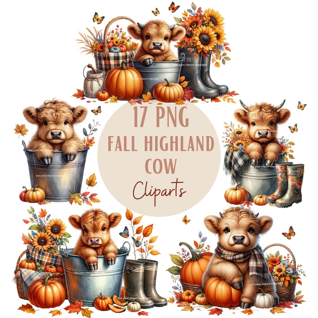 Baby Highland Cow Clipart Bundle, Highland Cow Clipart, Highland Cow ...