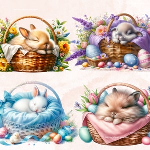Easter Bunny in a Basket Clipart Bundle, Easter Clipart, Easter ...