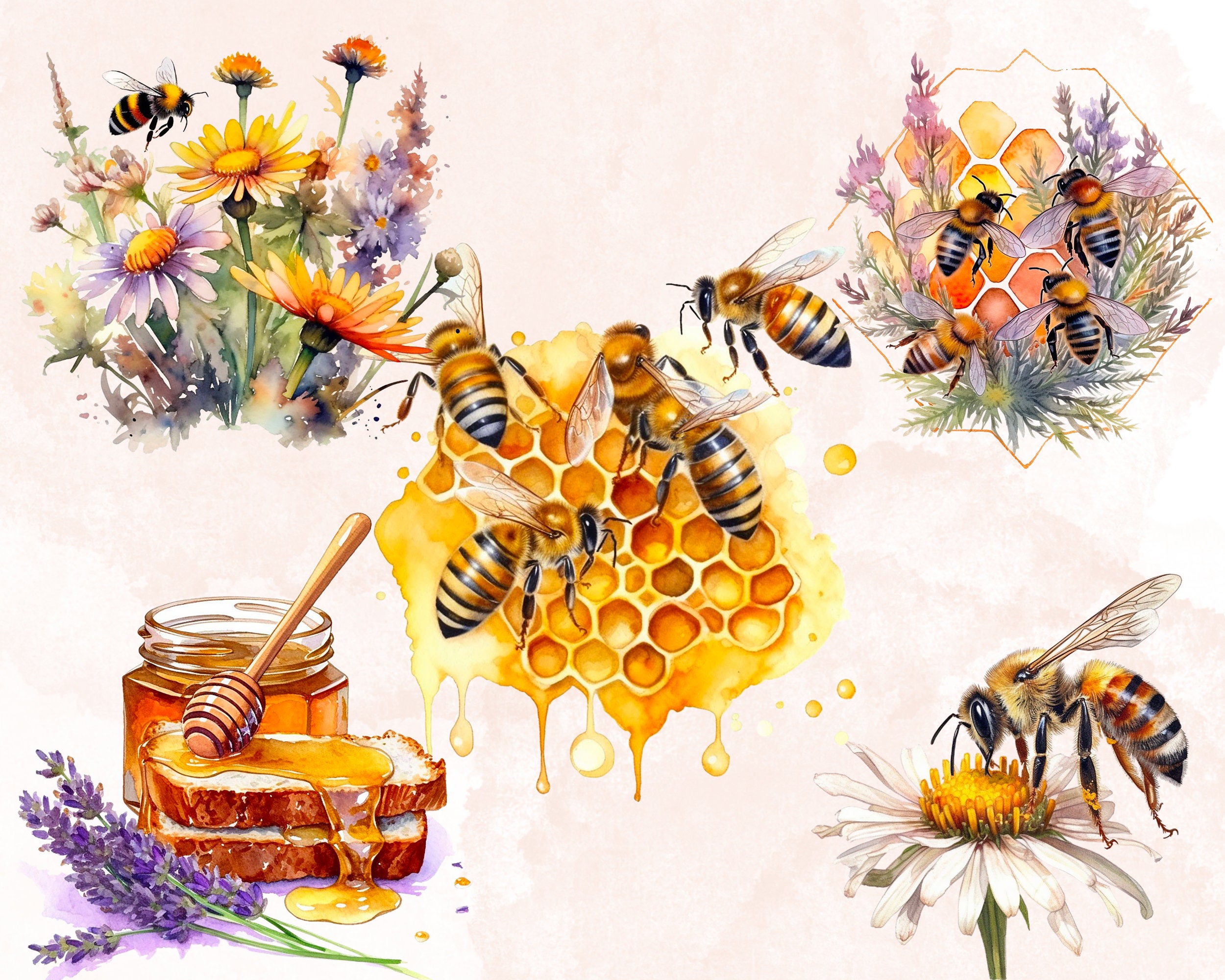 Bee Clipart Watercolor Honey Clipart Bee Png Files - Etsy