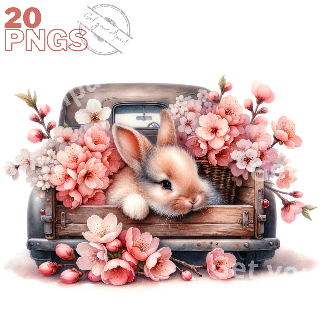 Spring Bunny Clipart Bundle, Spring Clipart, Cute Bunny Graphics ...