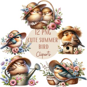 Cute Summer Bird Clipart Bundle, Watercolor Birds, Watercolor Summer ...