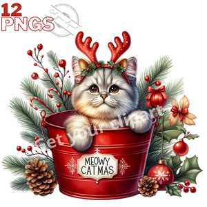 Christmas Cat Clipart Bundle, Christmas Cat Png, Christmas Png Bundle ...