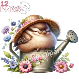 Cute Summer Bird Clipart Bundle, Watercolor Birds, Watercolor Summer ...