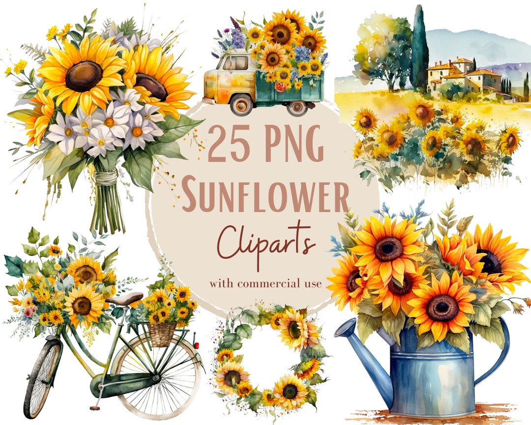 Watercolor Sunflower Clipart, Sunflower Clipart, Wildflower Clipart ...