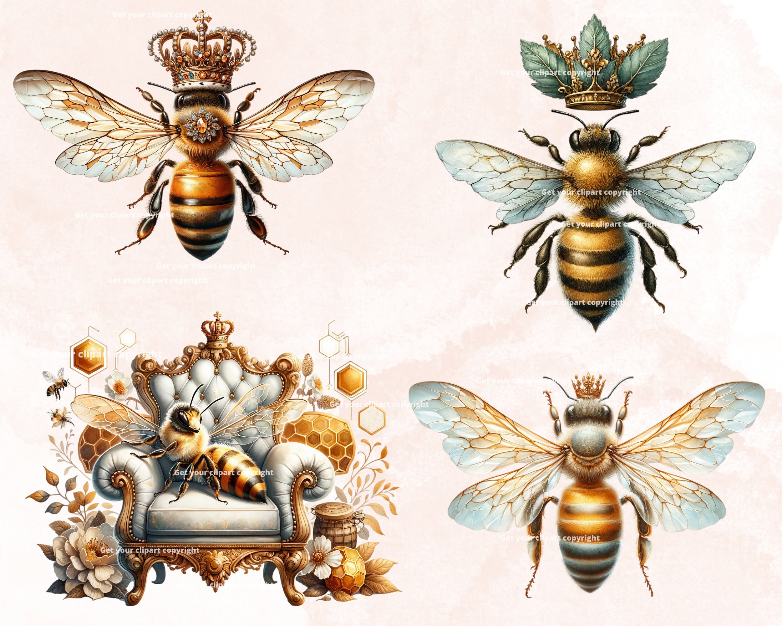 Queen Bee Clipart Bundle, Bee Png Files, Spring Clipart, Honeybee ...