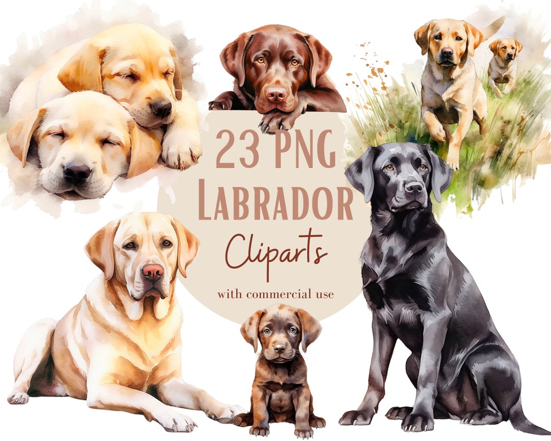 Watercolor Clipart Labrador, Watercolor Dog Clipart, Cute Labrador ...