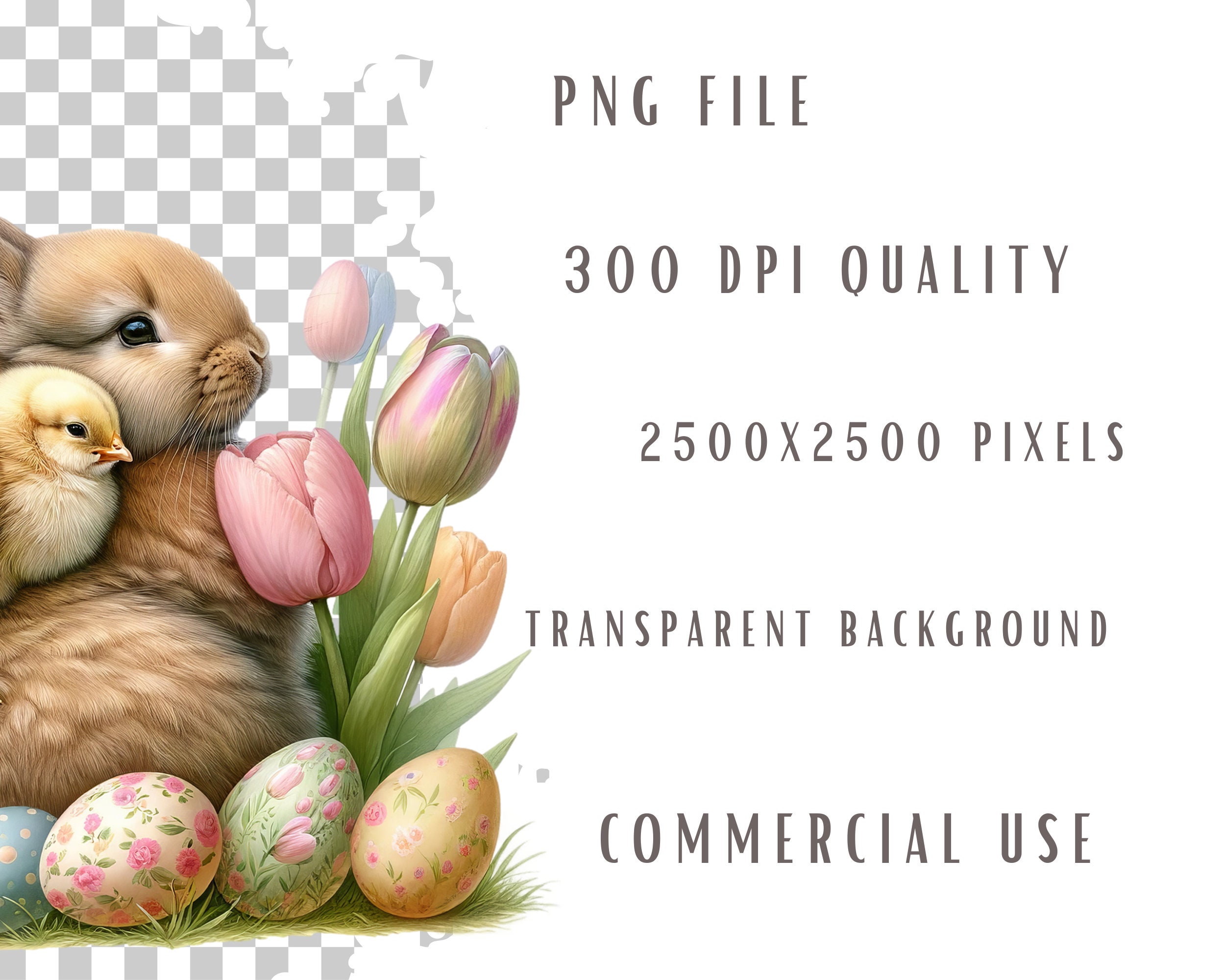 Easter Bunny and Chick Clipart Bundle, Easter Clipart, Easter Graphics ...