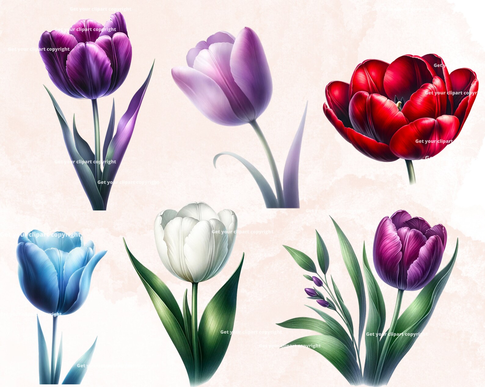 Spring Tulips Clipart Bundle, Watercolor Flowers Clipart, Spring Png ...