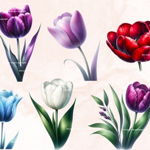 Spring Tulips Clipart Bundle, Watercolor Flowers Clipart, Spring Png ...