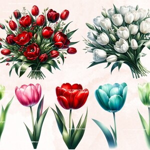 Spring Tulips Clipart Bundle, Watercolor Flowers Clipart, Spring Png ...