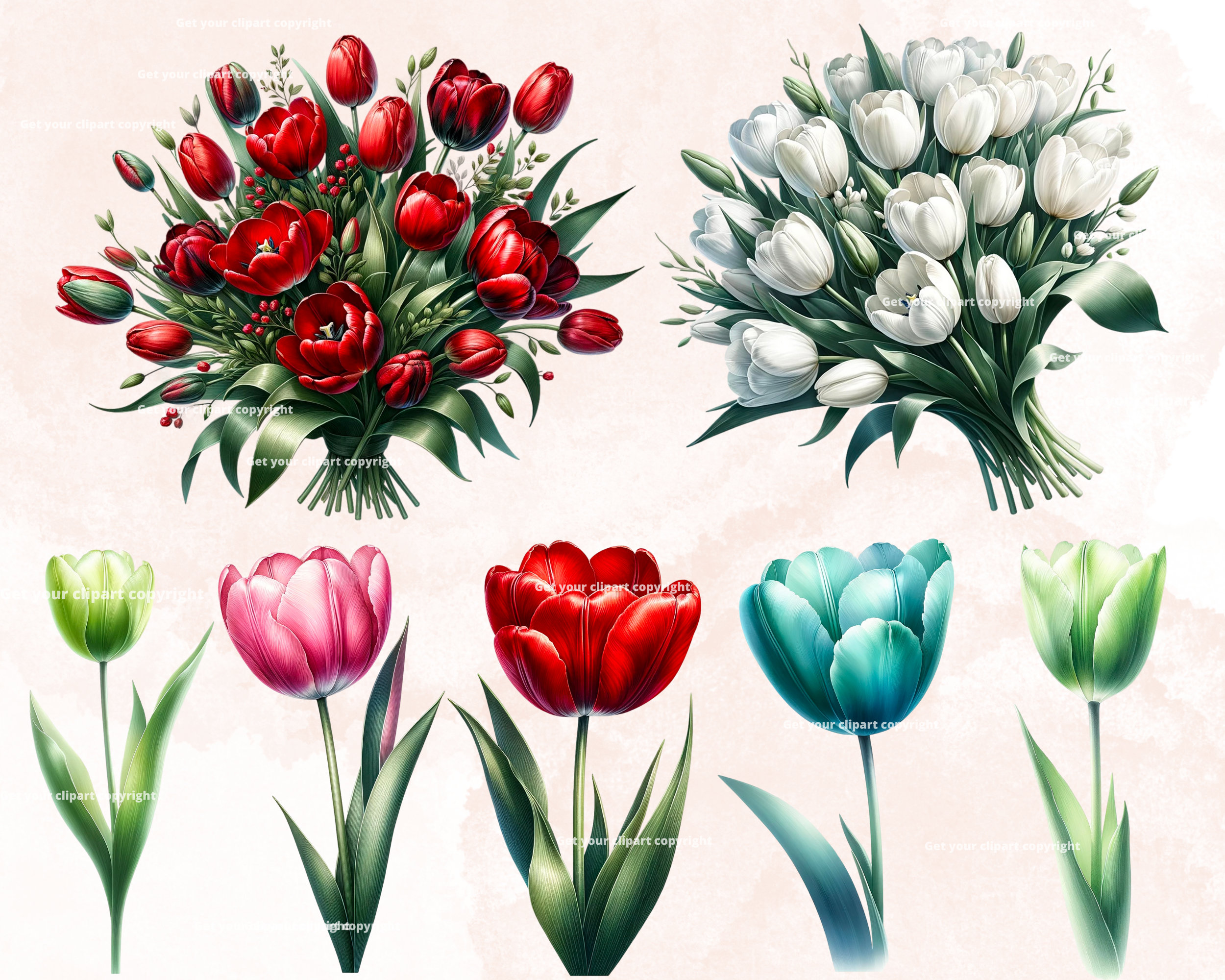 Spring Tulips Clipart Bundle, Watercolor Flowers Clipart, Spring Png ...