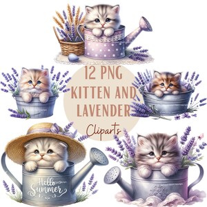 Kitten and Lavender Clipart Bundle, Kitten Clipart, Cute Cat Graphics ...
