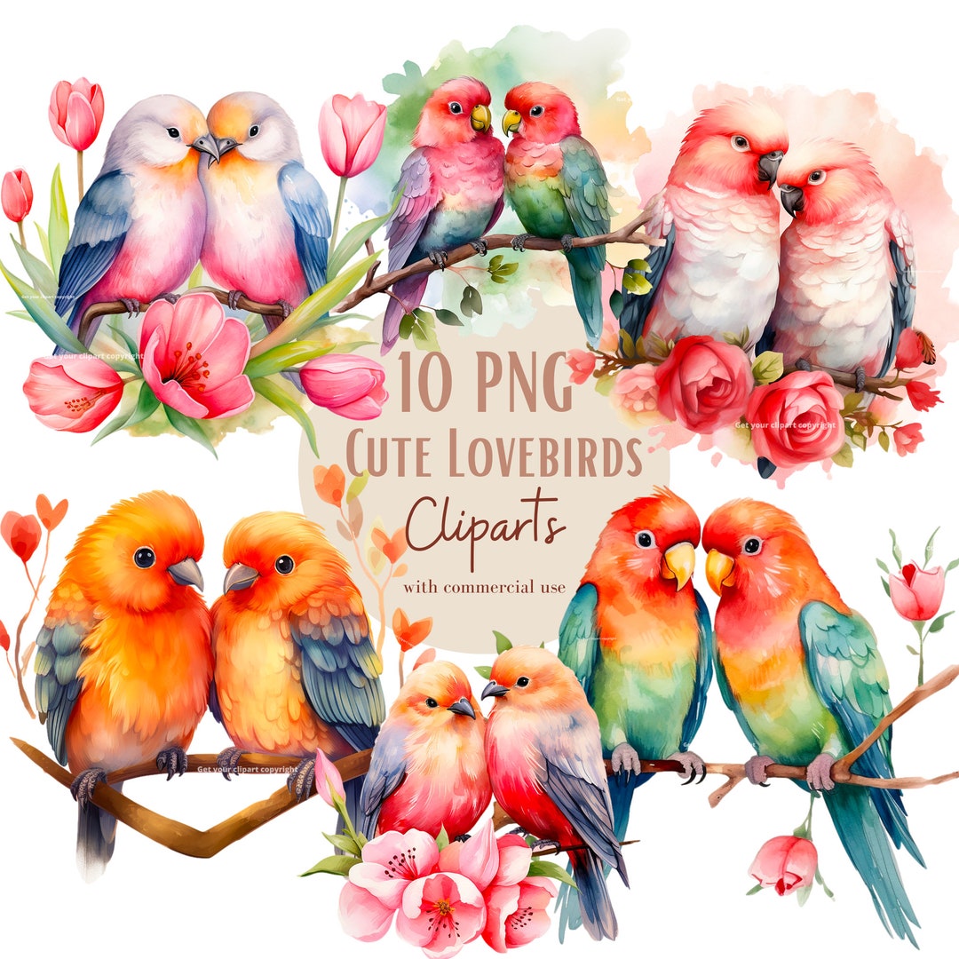 Lovebirds Clipart Bundle, Valentines Clipart Bundle, Bird Clipart, Set ...