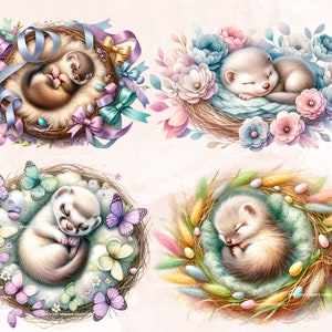 Cute Weasel in a Nest Clipart Bundle, Easter Clipart, Spring Graphics ...
