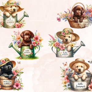 Summer Labrador Puppy Clipart Bundle, Puppy Clipart, Cute Labrador Png ...