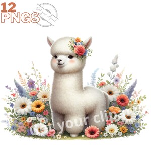 Cute Alpaca Clipart Bundle, Alpaca Png, Watercolor Alpaca Graphics ...