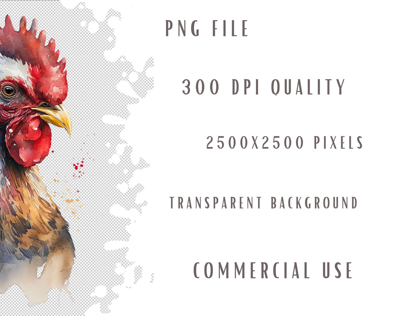 Chicken Png Files Watercolor Chicken Clipart Watercolor - Etsy